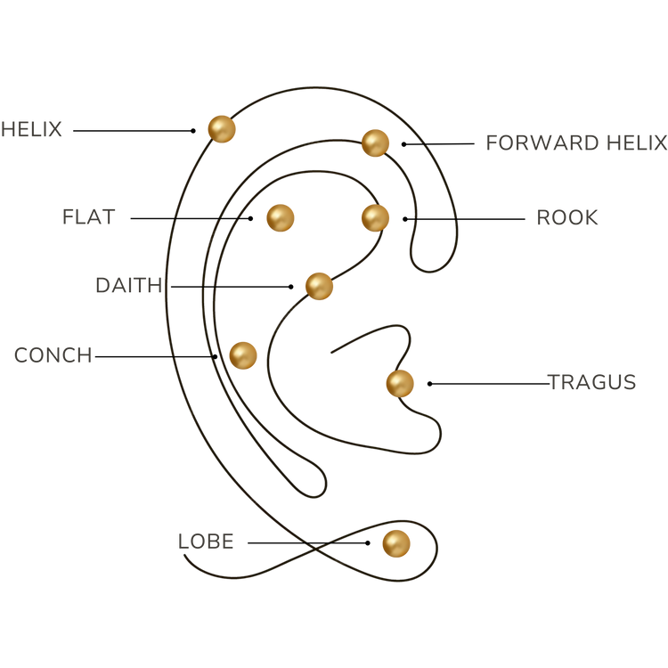 Piercing Jewelry Size Guide – adorn512